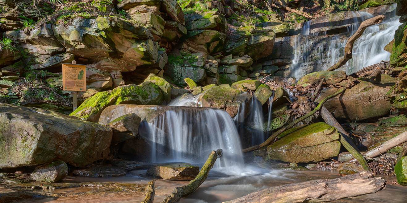 Urlaub im Odenwald 🦉 Eine der schönsten Naturlandschaften