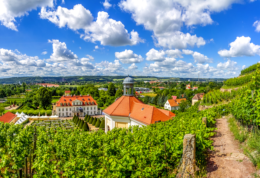 WEST Hotel in Radebeul buchen ️ ReisenAKTUELL.COM